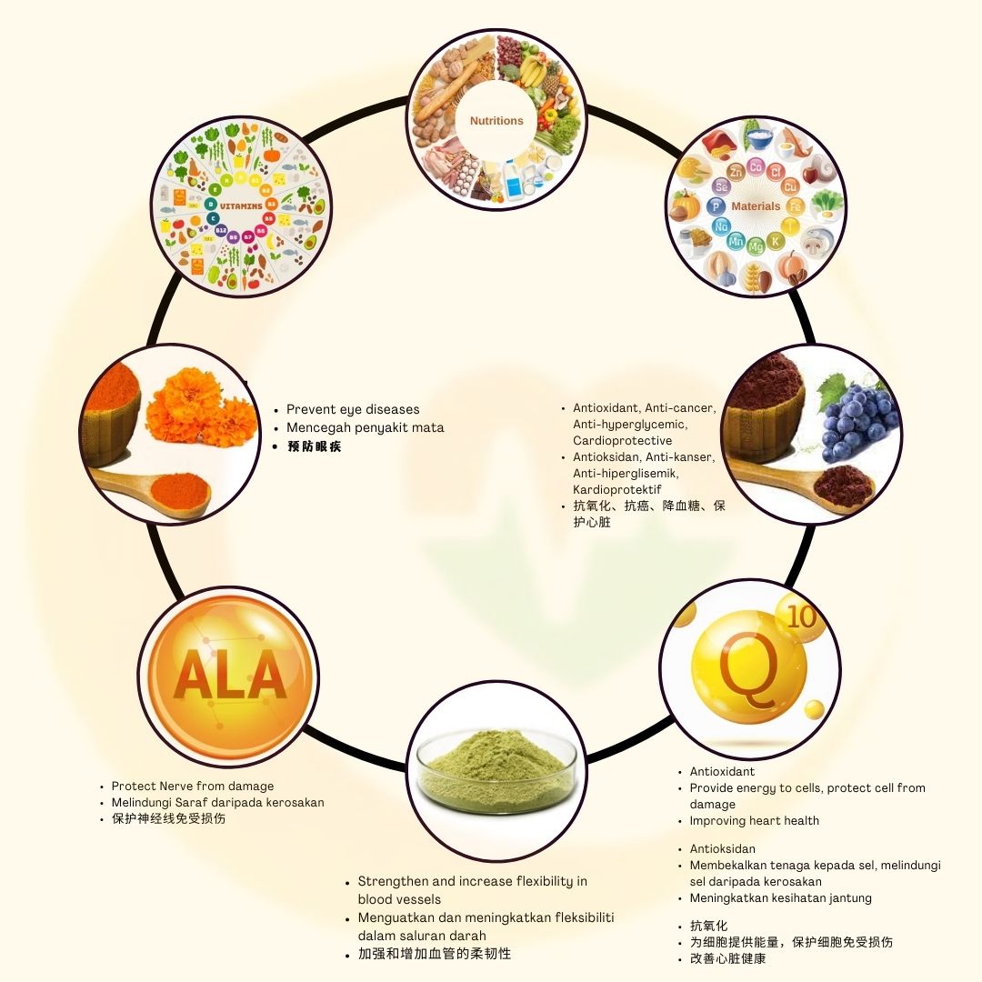 NOVA ACTIVMAX Vanilla Gold – Orihealth.my